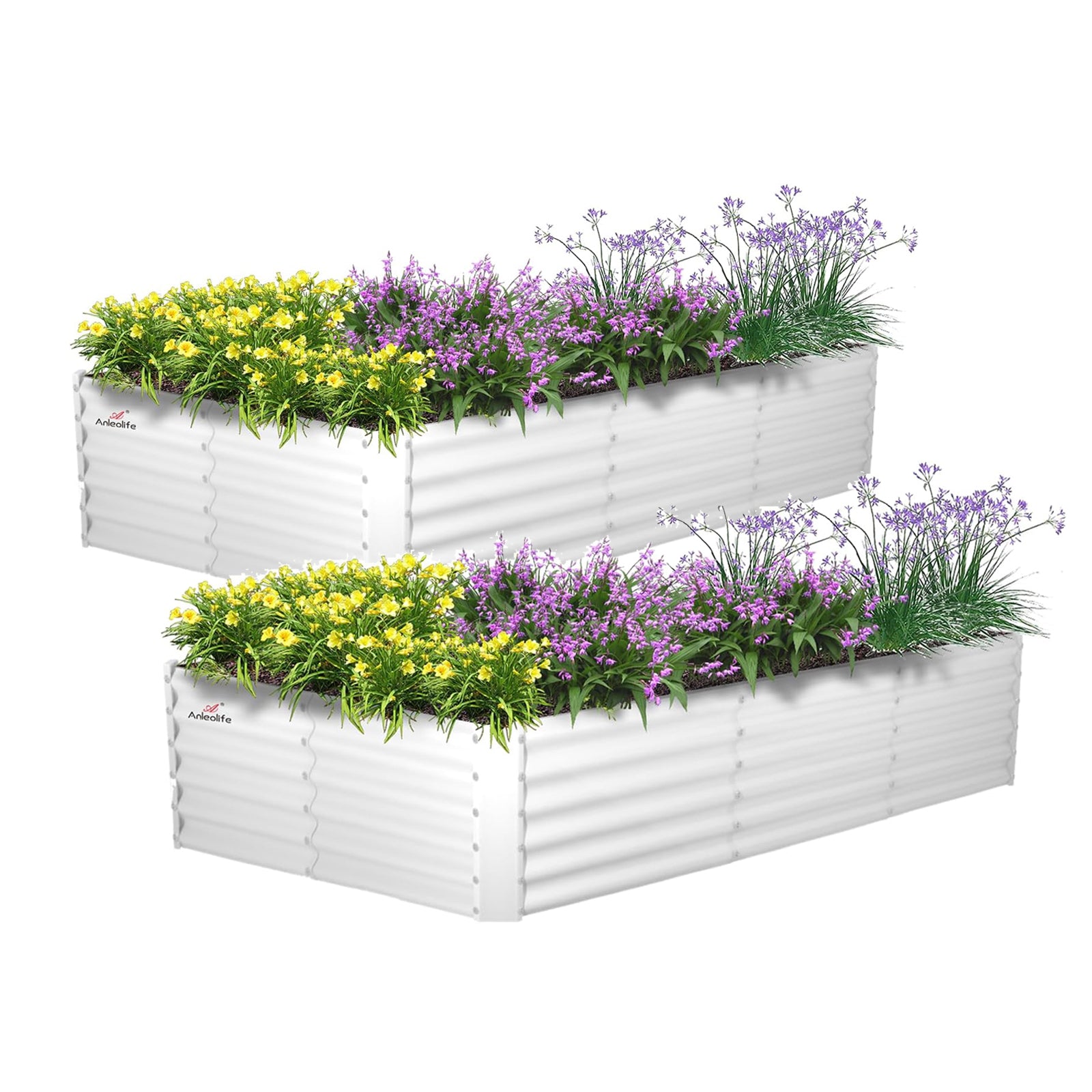 Rectangular Garden Beds | Maximize Growing Space
